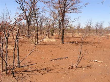 Untitled Document [www.kachana.com]